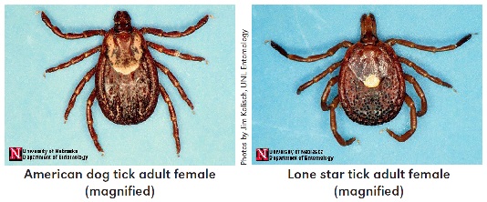 Professional Surveyors Association of Nebraska - 2016 Summer Seminar